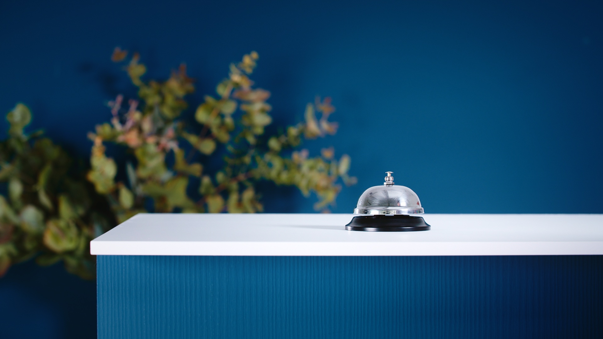 Polyrey Touch - Plan Rapproché