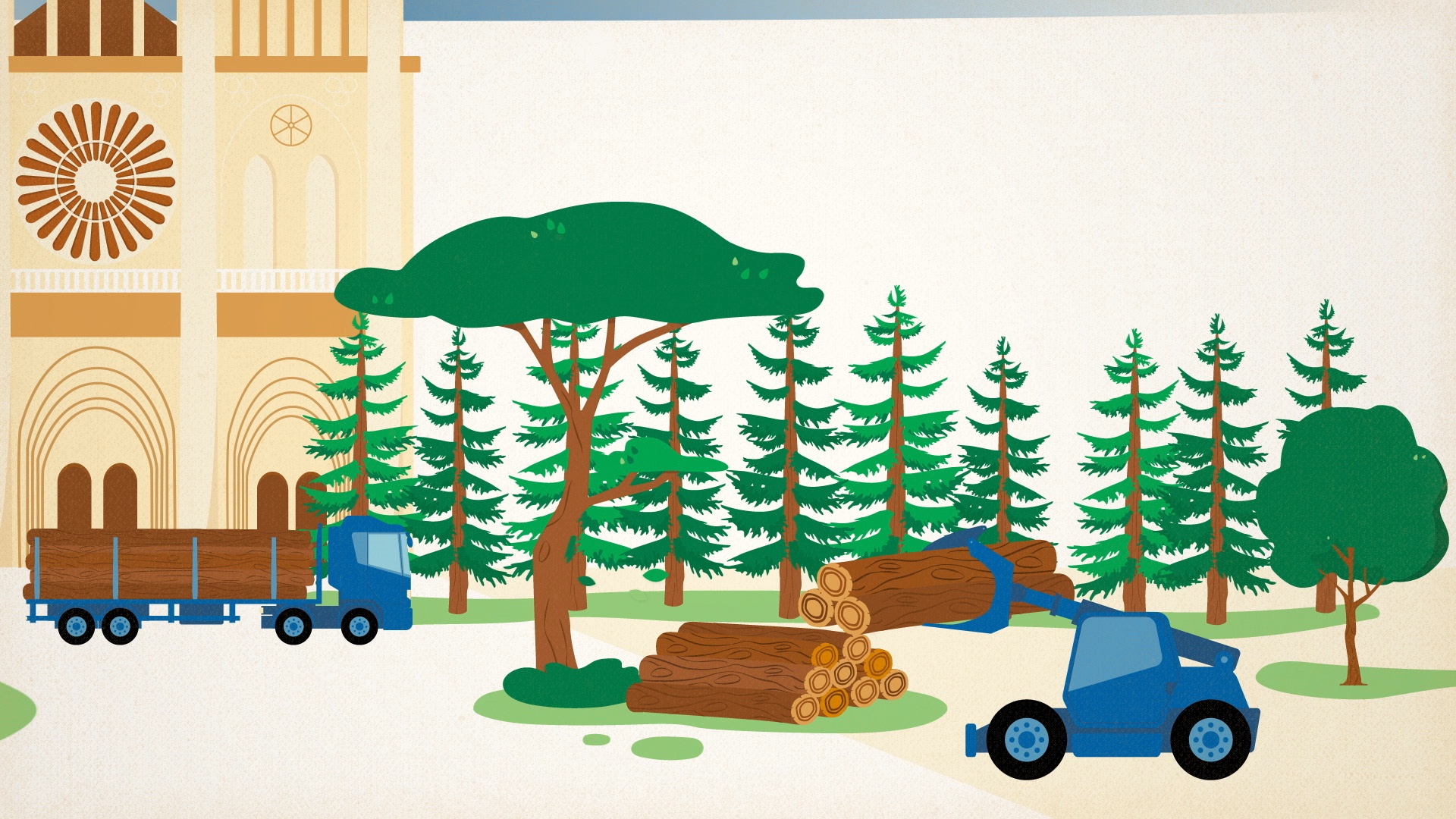 Présentation de France Bois Forêt - Plan Rapproché